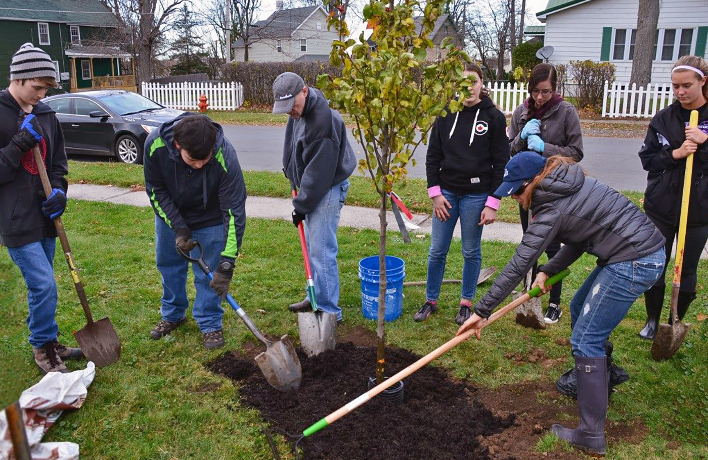 Funding Available to Support Tree Planting in City of Watertown