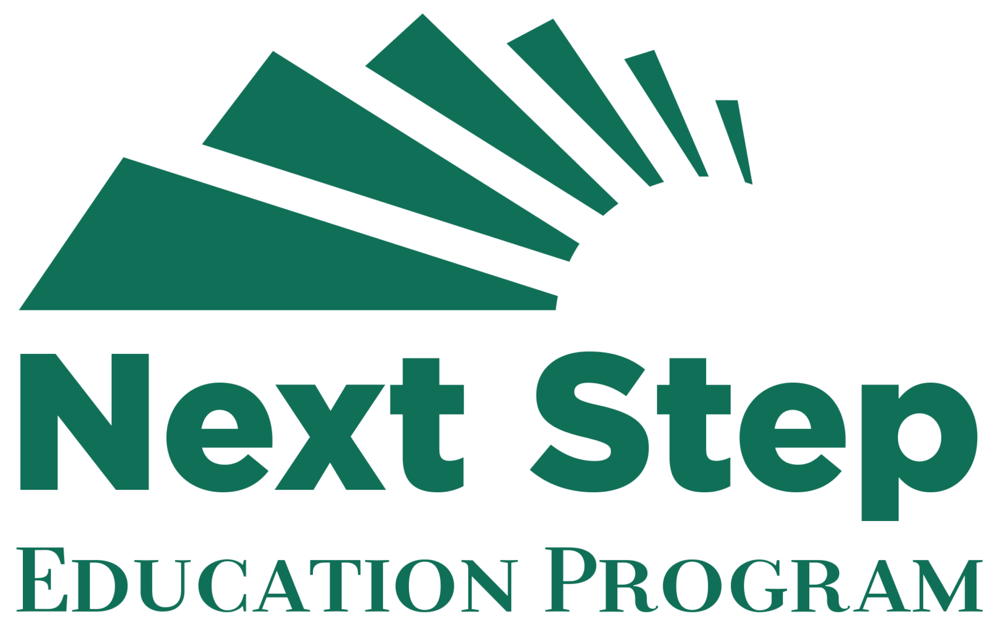 Next Step Education Program